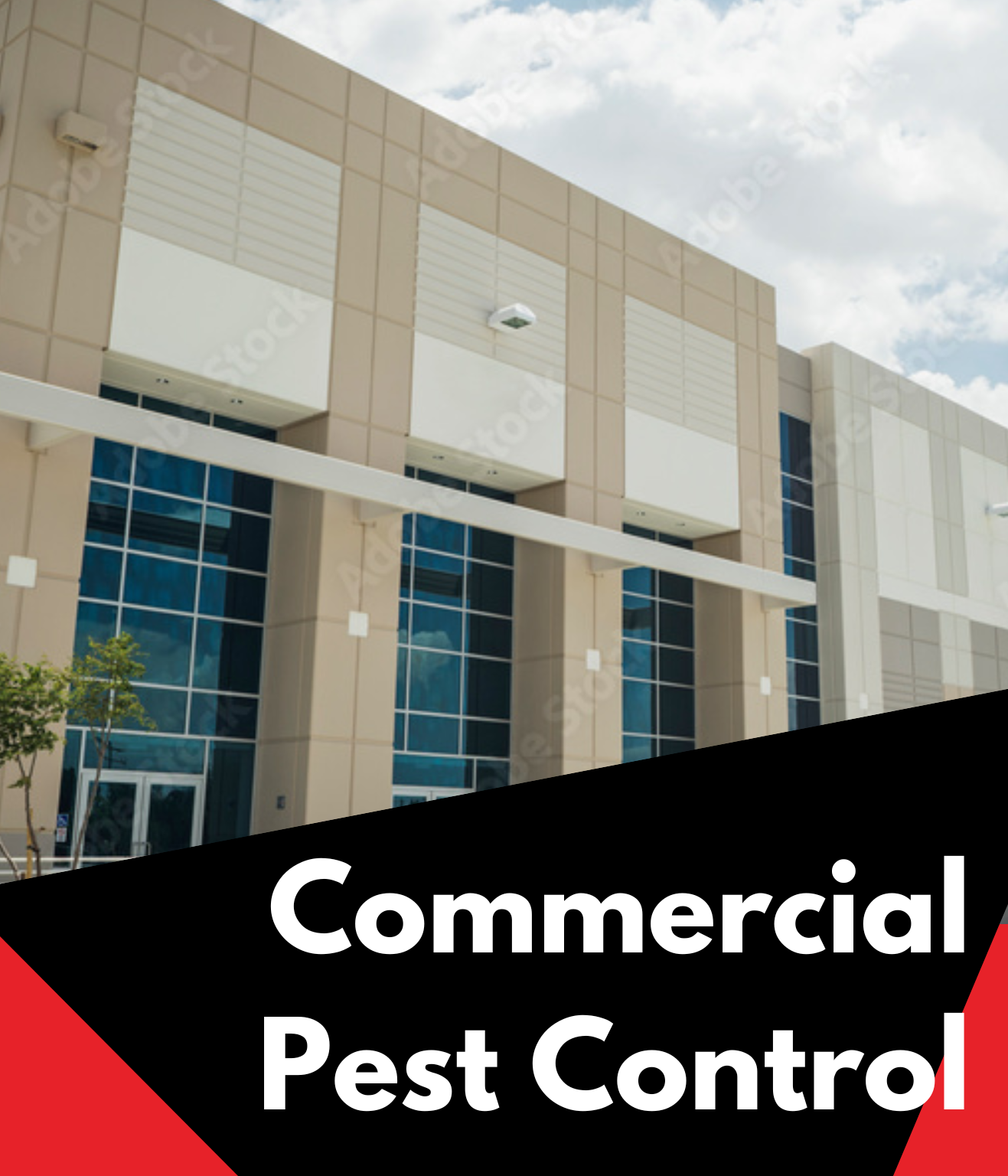 Home - Integrity Pest Elimination